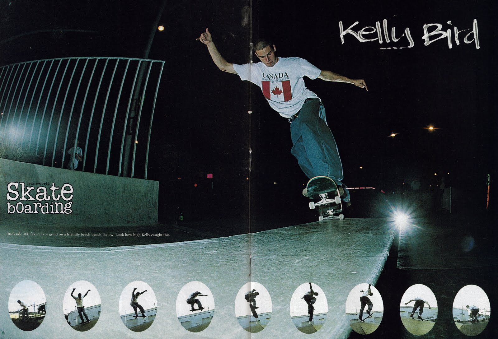 The Kelly Bird Interview